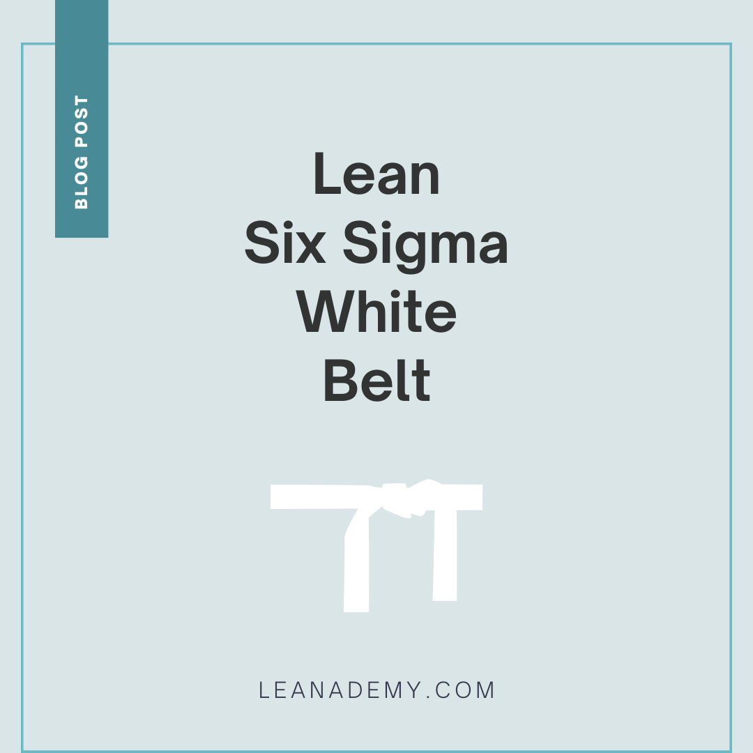 Lean Six Sigma White Belt